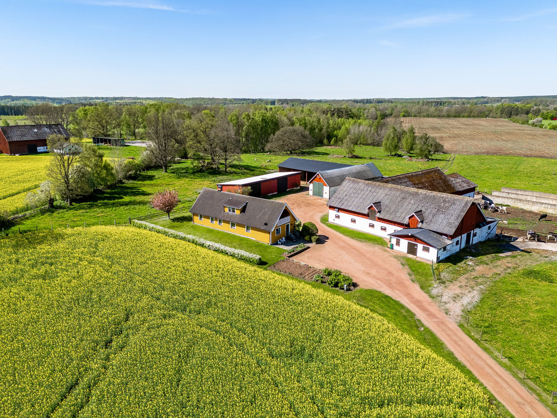 Farms for sale in Sweden - Sweden Estates