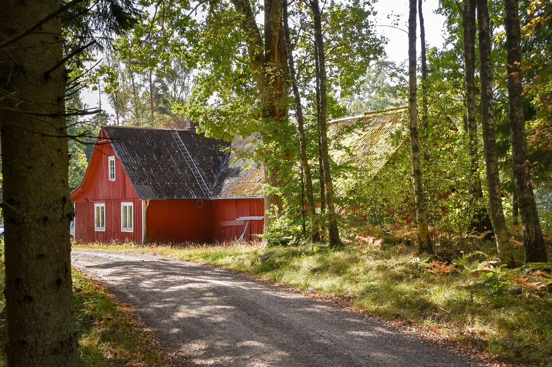 Farms for sale in Sweden - Sweden Estates
